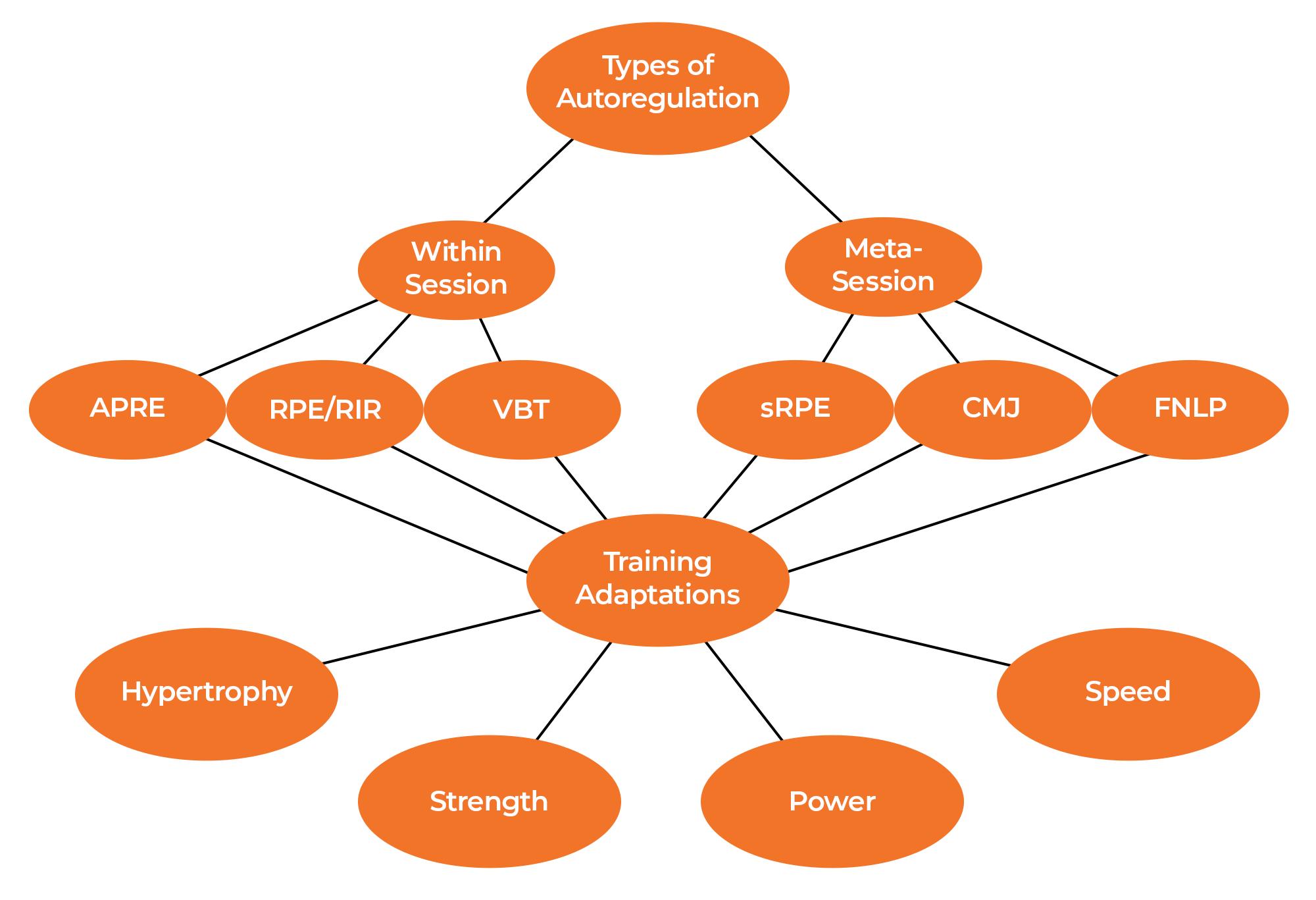 Evolution of Resistance Training: Milo to Modern Autoregulation